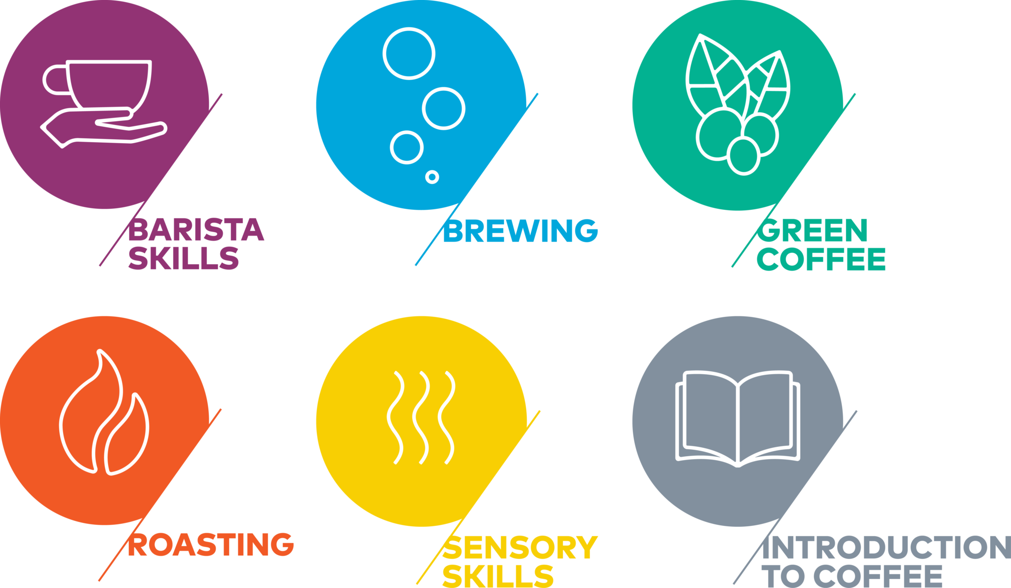 咖啡生豆 & 熟豆 + SCA 咖啡課程 - C LAB Roastery.