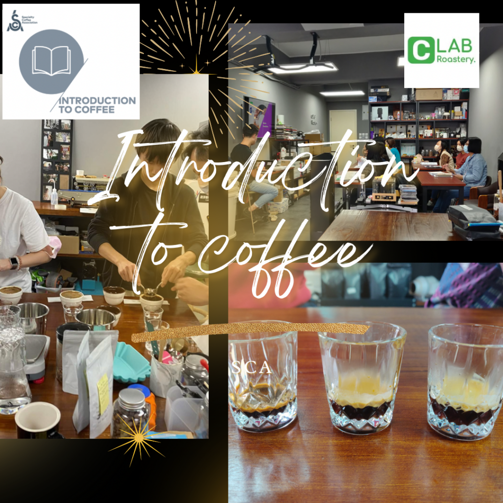 SCA Introduction to Coffee - C LAB Roastery.