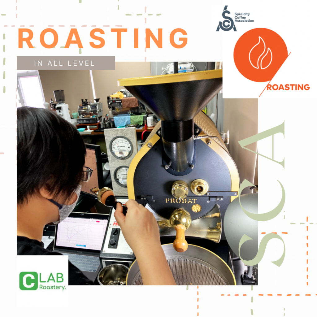 SCA Roasting 咖啡烘焙 證書課程 - Diploma Course