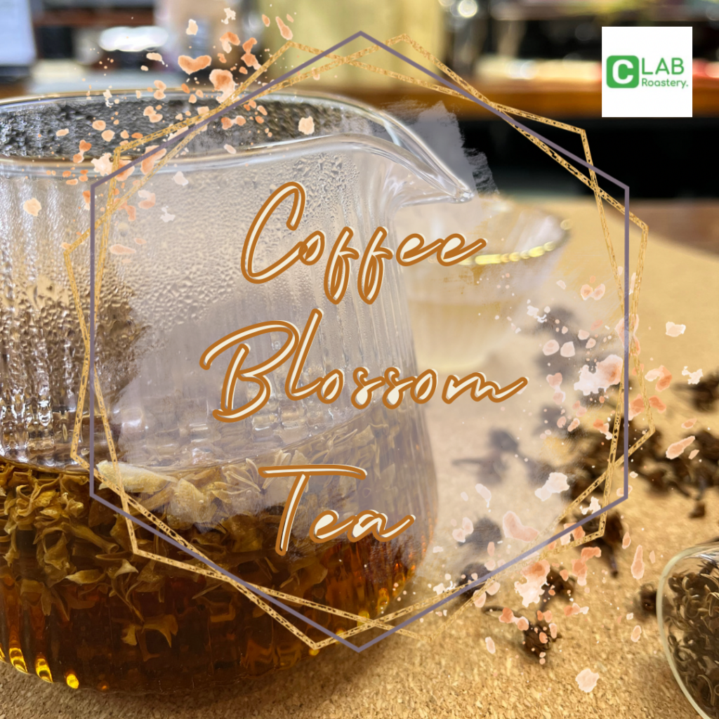 SCA Introduction to Coffee (10 points) - C LAB Roastery.