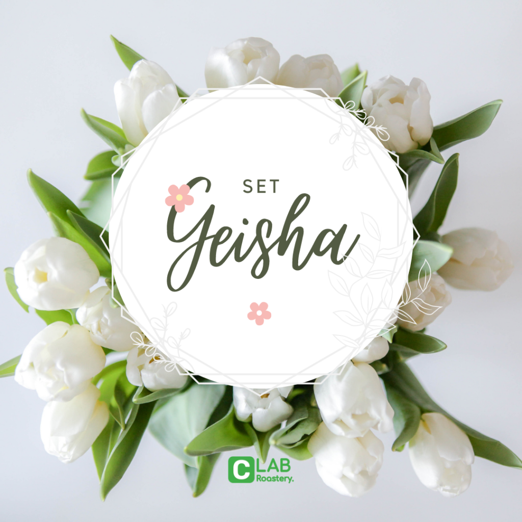 Geisha SET - C LAB Roastery.