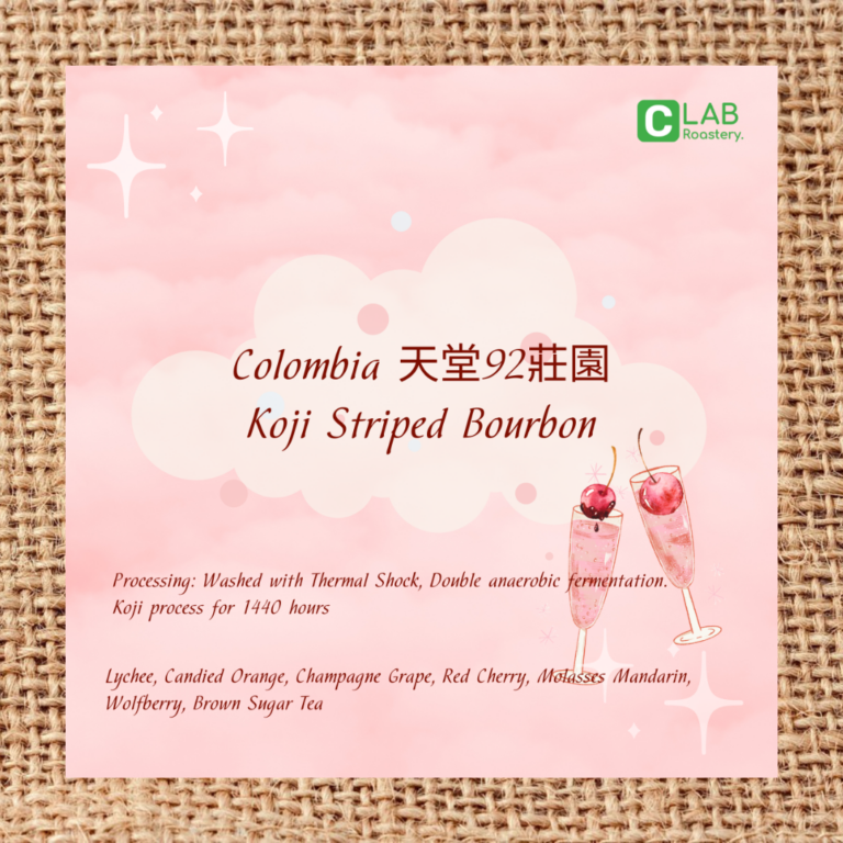 咖啡生豆 & 熟豆 + SCA 咖啡課程 - C LAB Roastery.