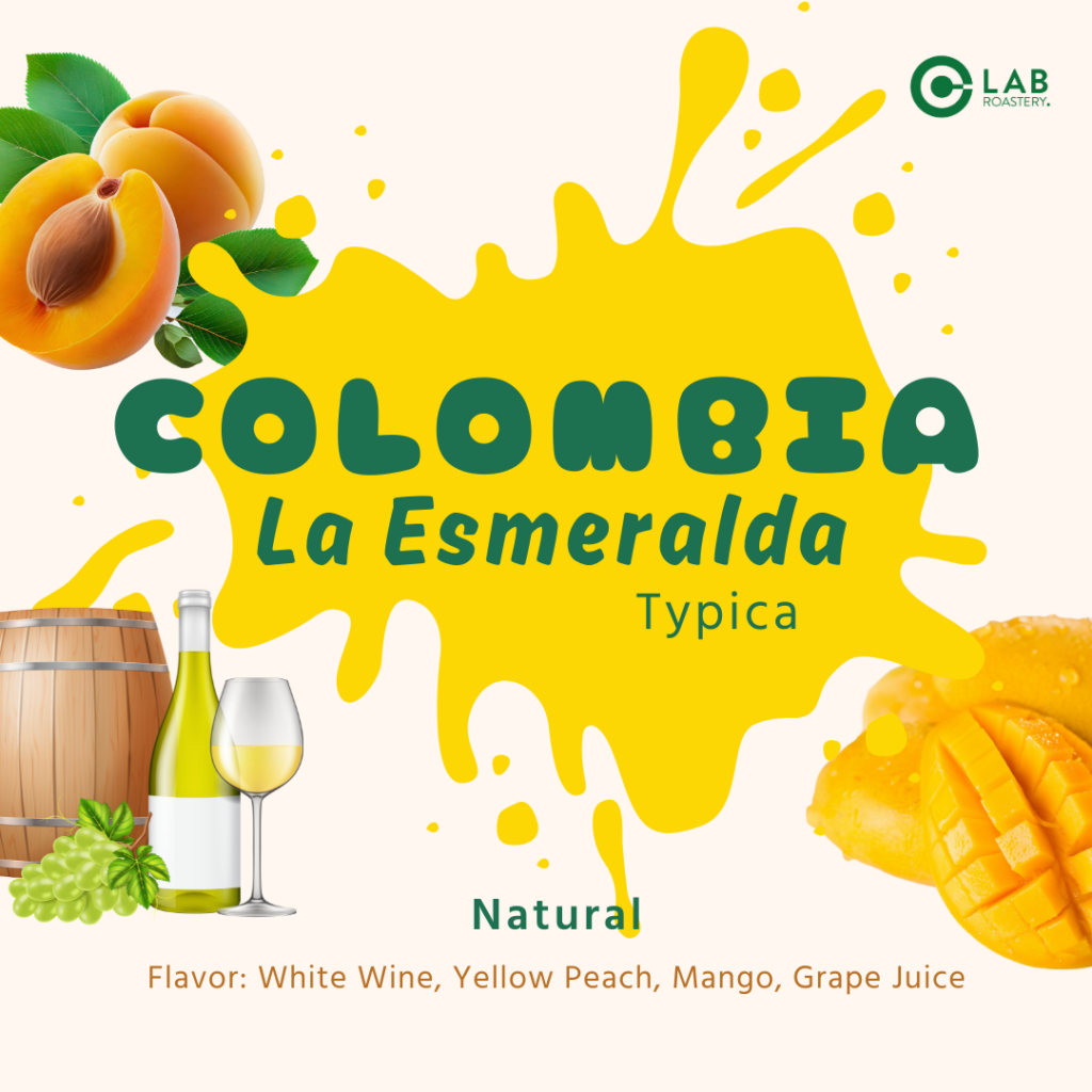 Colombia La Esmeralda Typica Natural (100g) - C LAB Roastery.