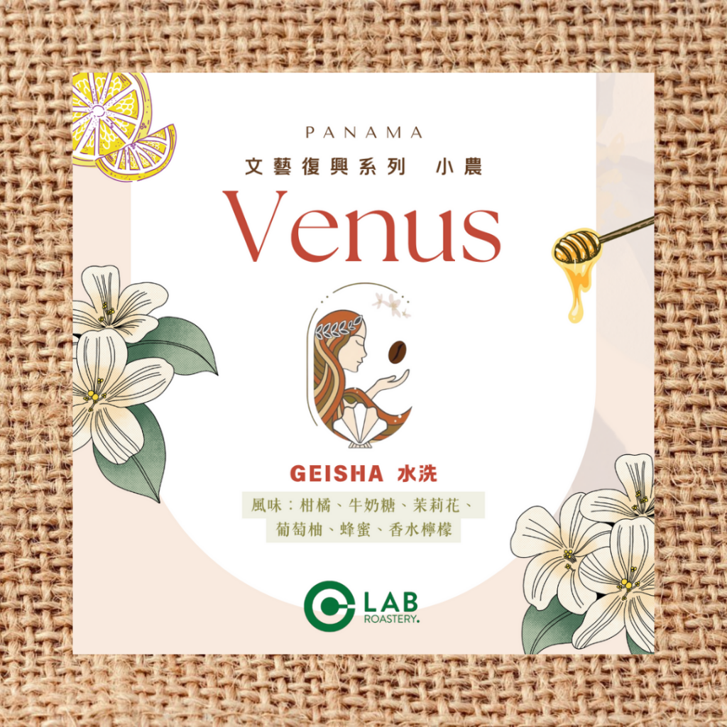Panama 文藝復興系列 Venus Geisha Washed 生豆 - C LAB Roastery.